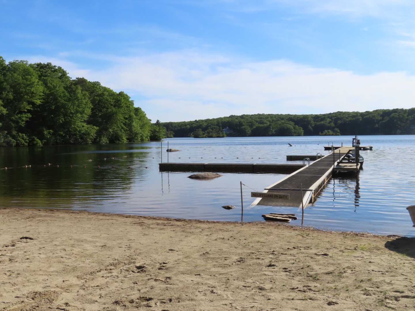 Camp Wightman – Heart on the Wing